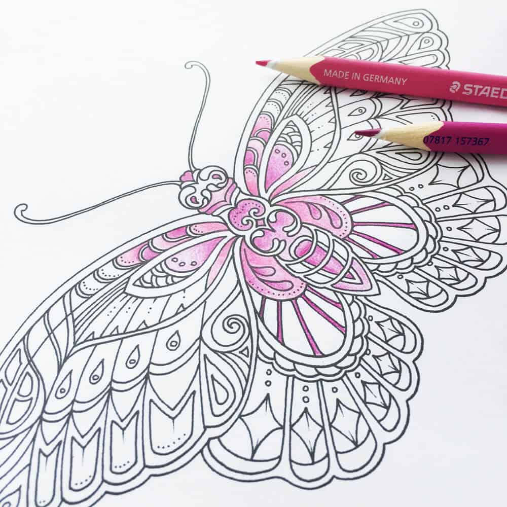 Tutorial : How to Colour a Butterfly - Johanna Basford : Illustrator ...