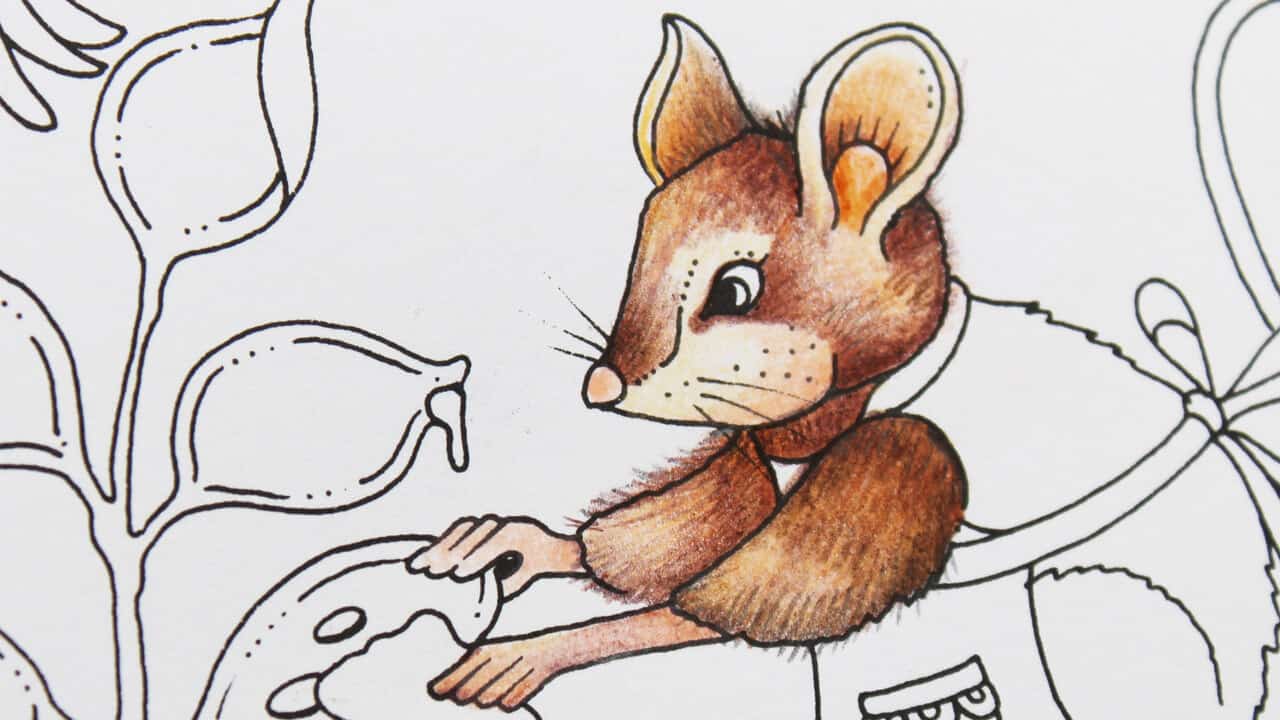 Tutorial : How to Colour House Mouse - Johanna Basford : Illustrator ...